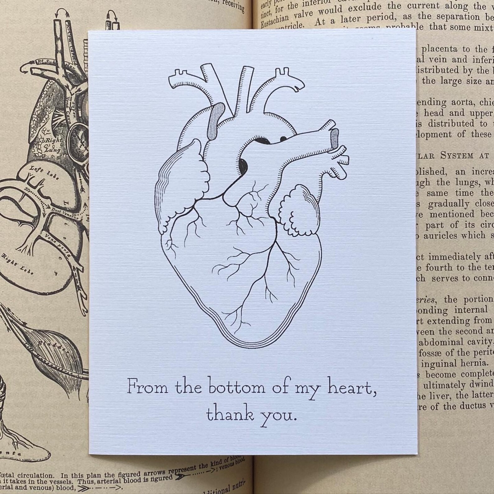 From the Bottom of My Heart Thank You Greeting Card | Etsy