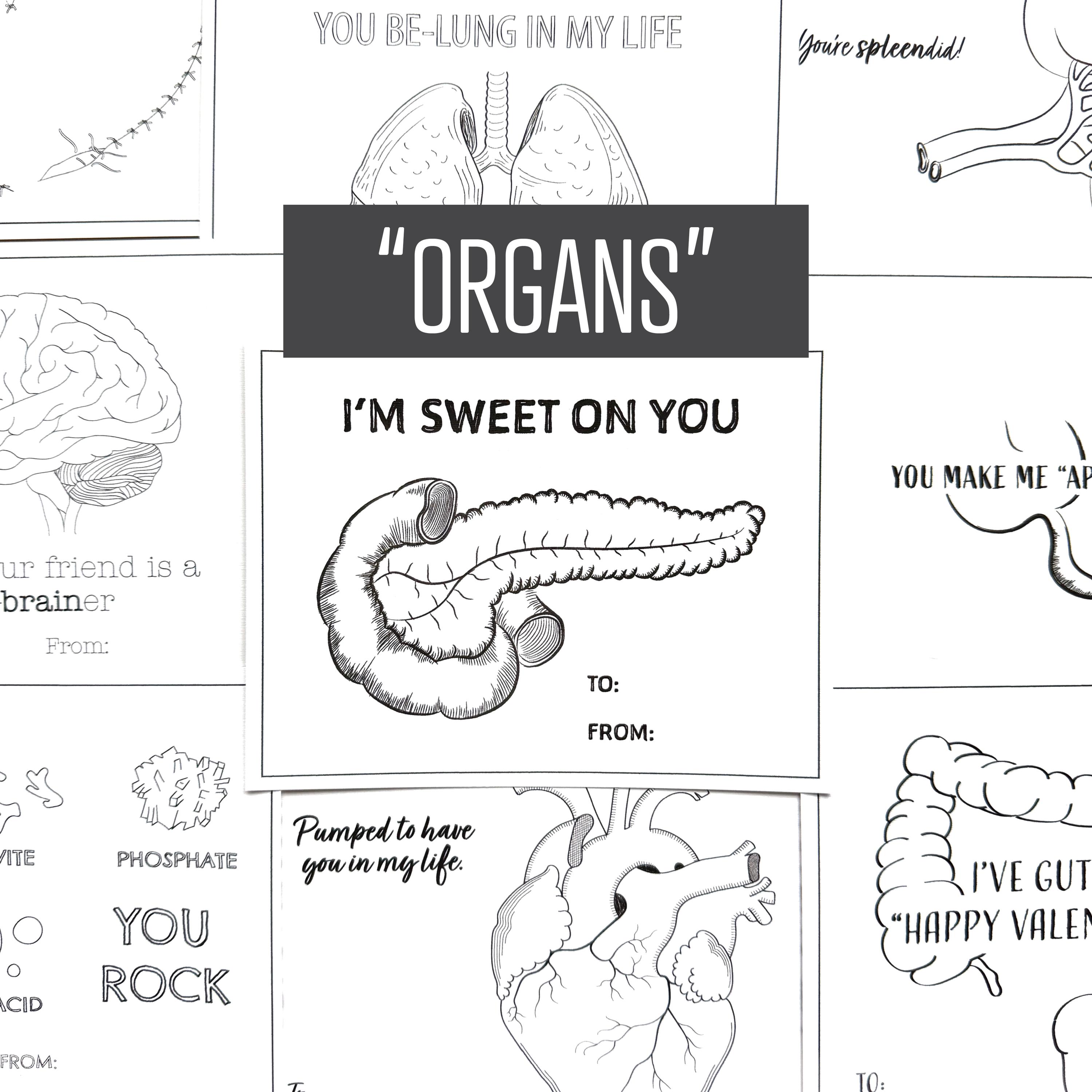 NEW Valentine’s Day Cards - Medically Themed Variations (set of 24) - Etsy