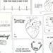 Cardiology Medical Valentine's Day Cards: Printable Cards (digital ...