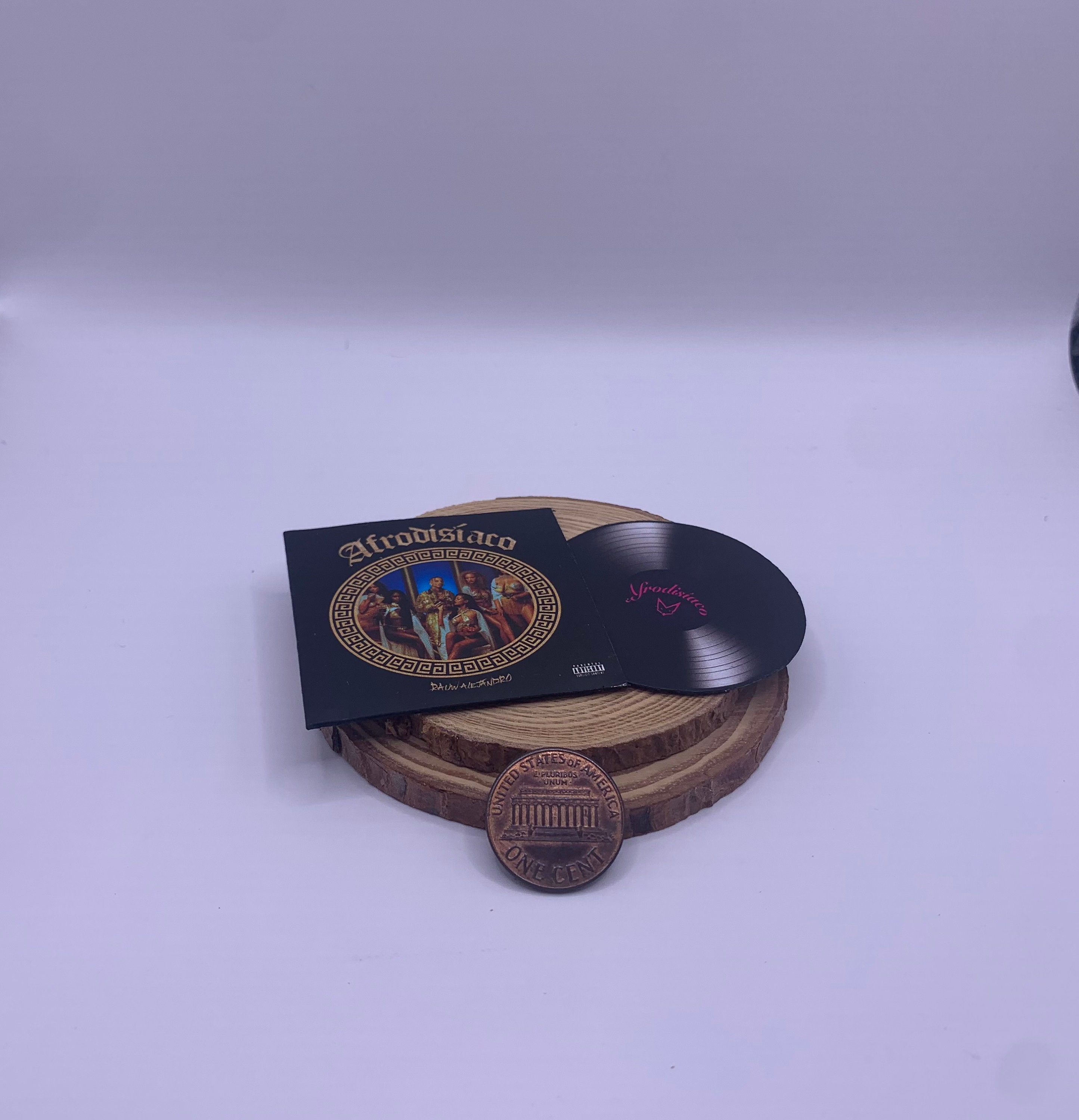 RAUW ALEJANDRO Collection. Miniature Vinyl Album. Scale 1/6 - Etsy