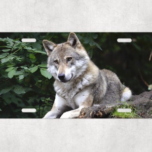 Wolf License Plate, Outdoor Plate for Cars, Vanity Plate, Custom ...