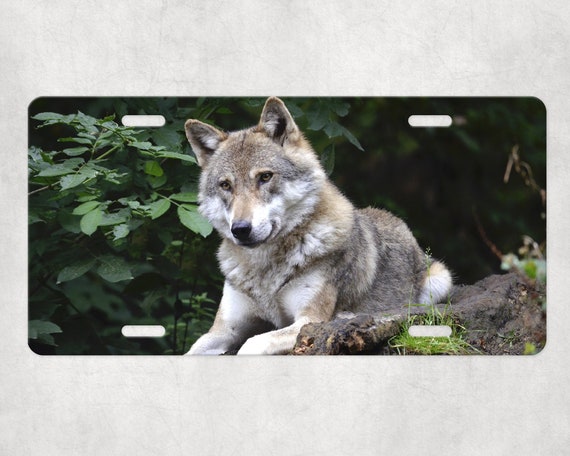 Wolf License Plate Outdoor Plate for Cars Vanity Plate | Etsy