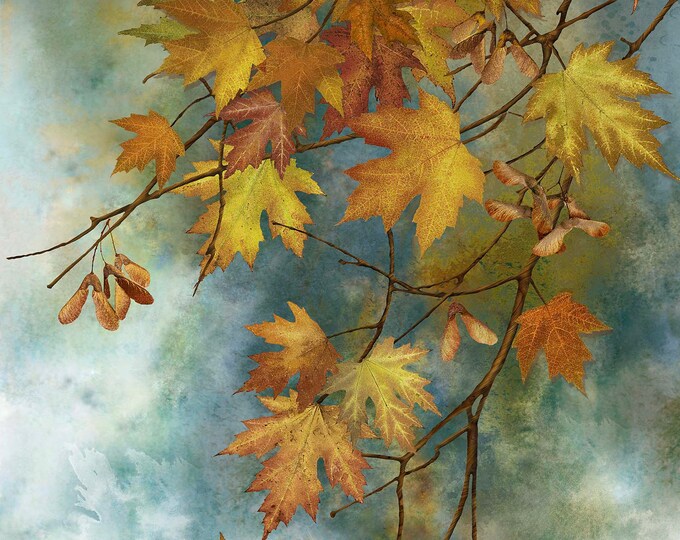 Northcott-autumn Splendor Panel - Etsy