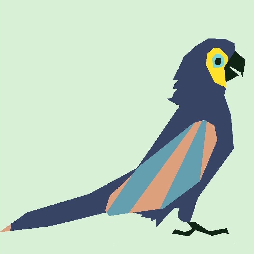 Foundation Paper Piecing Parrot Block Pattern PDF - Etsy