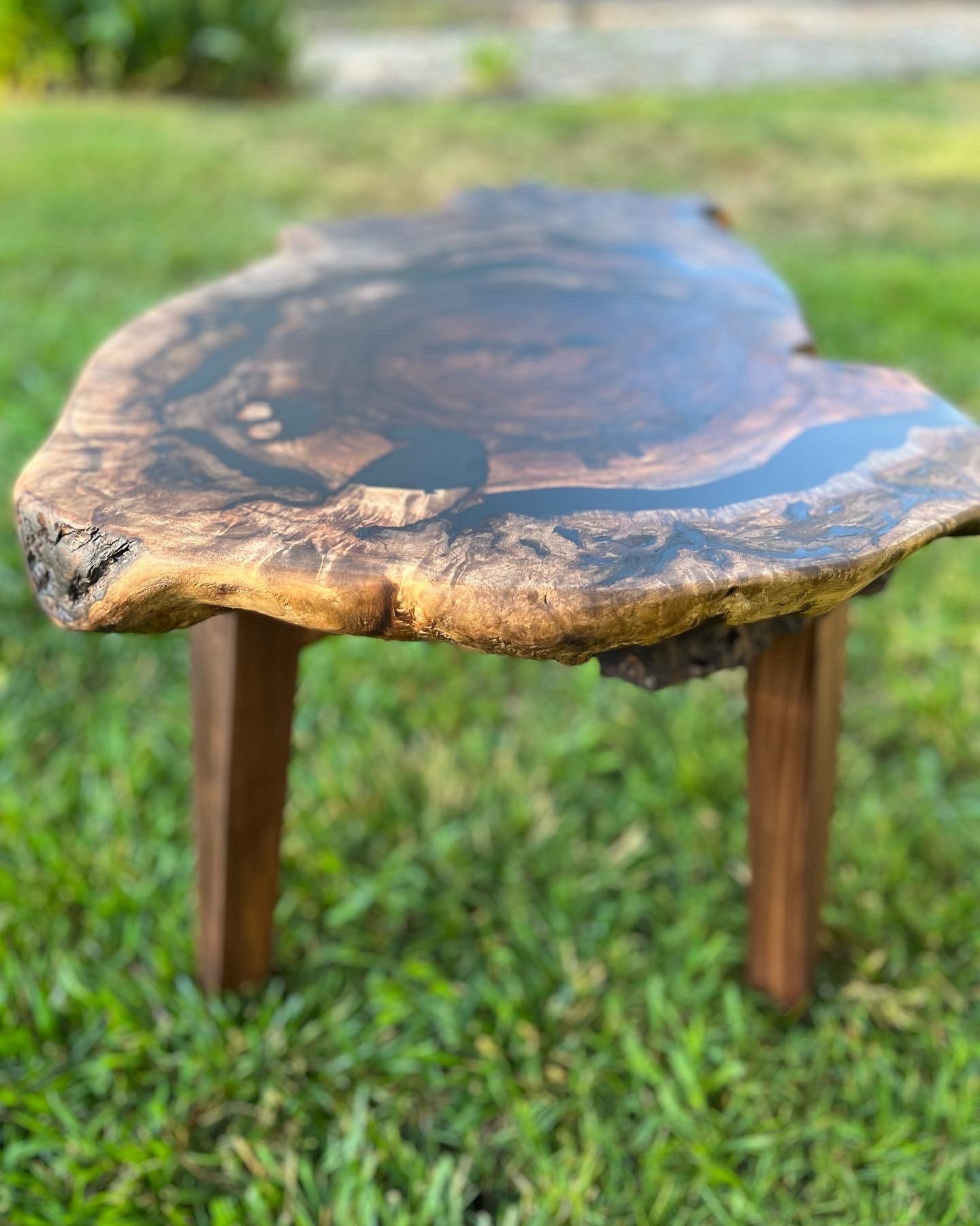Claro Walnut Root Burl Coffee Table - Etsy