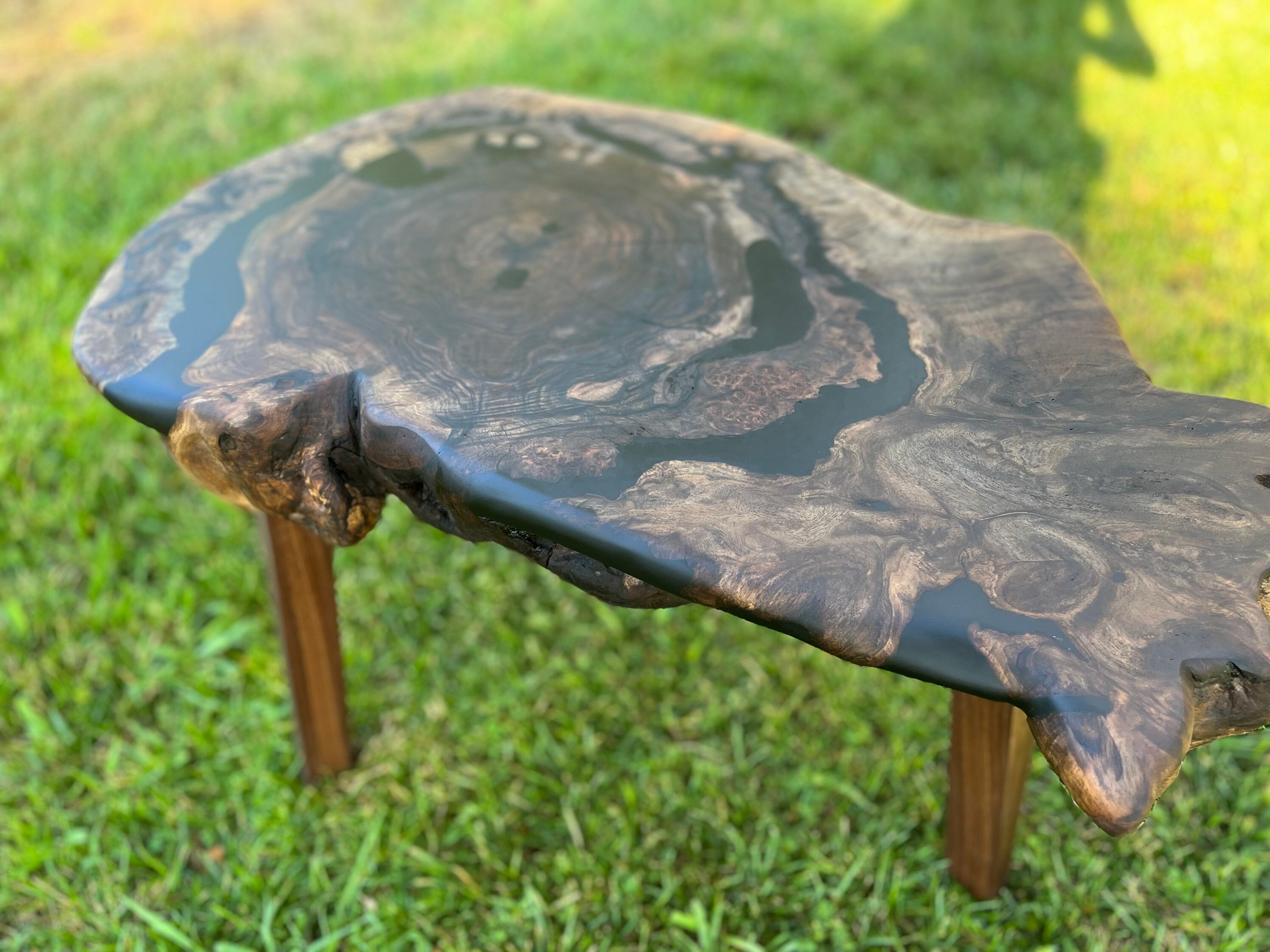 Claro Walnut Root Burl Coffee Table - Etsy