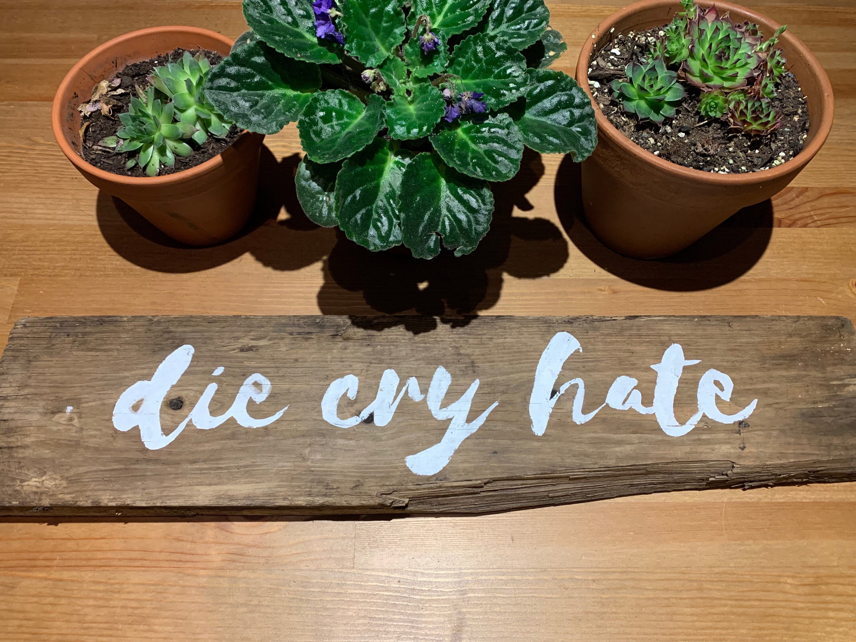 Die Cry Hate Signs - Reclaimed Old Barn Planks - Etsy
