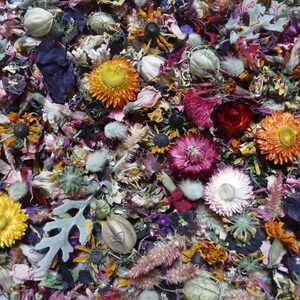 10 Cups Bulk Dried Flowers, Bulk Wedding Flowers, Resin Flowers, Bulk ...