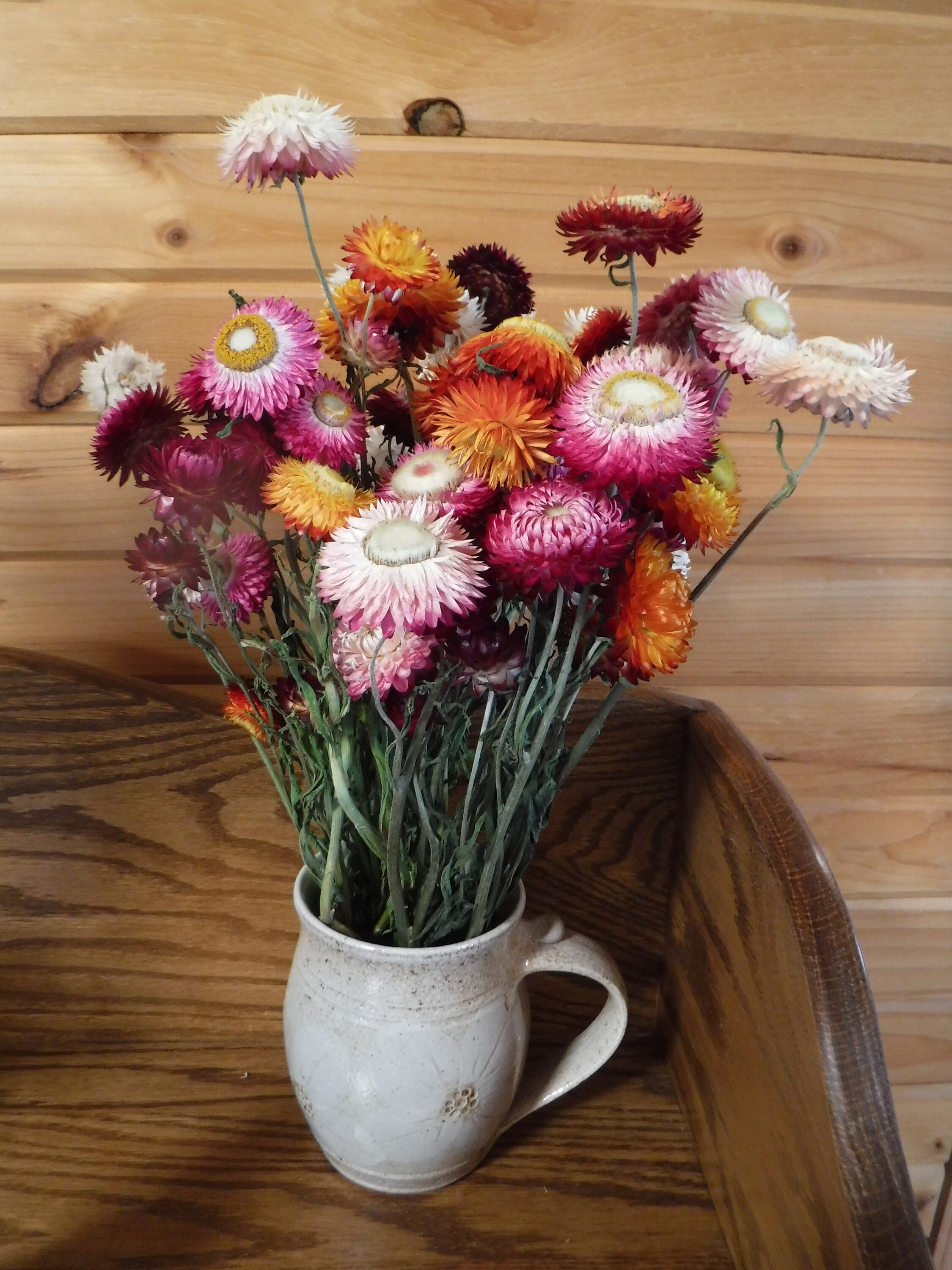Dried Strawflowers With Stems, Dried Strawflowers, Dried Flowers With ...