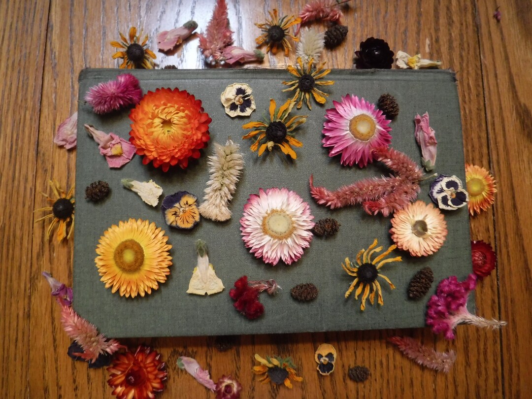 50 Whole Dried Flowers and Dried Plant Material, Bowl Filler, Wedding ...