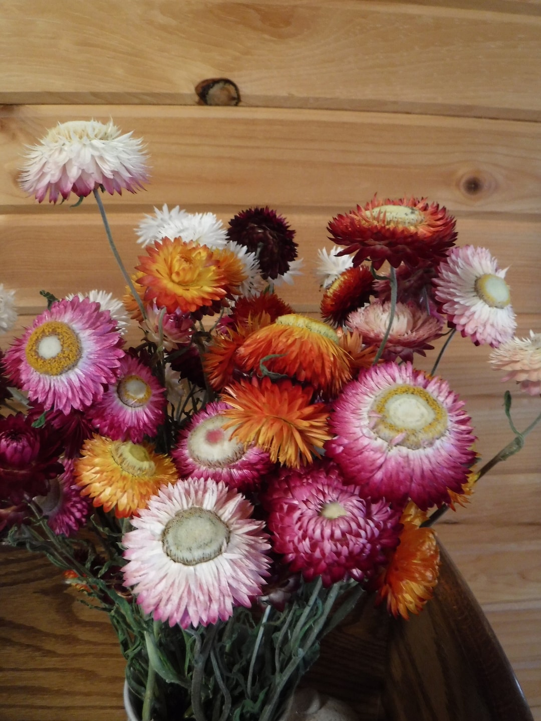 Dried Strawflowers With Stems, Dried Strawflowers, Dried Flowers With ...
