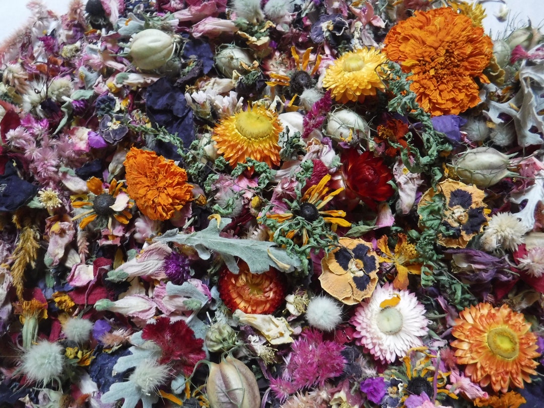 10 Cups Bulk Dried Flowers, Bulk Wedding Flowers, Resin Flowers, Bulk ...