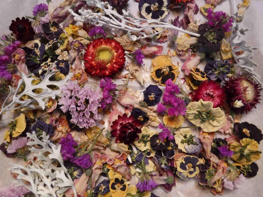 Dried Flowers, Dried Plant Material, Loose Dried Flowers, Resin Flowers ...
