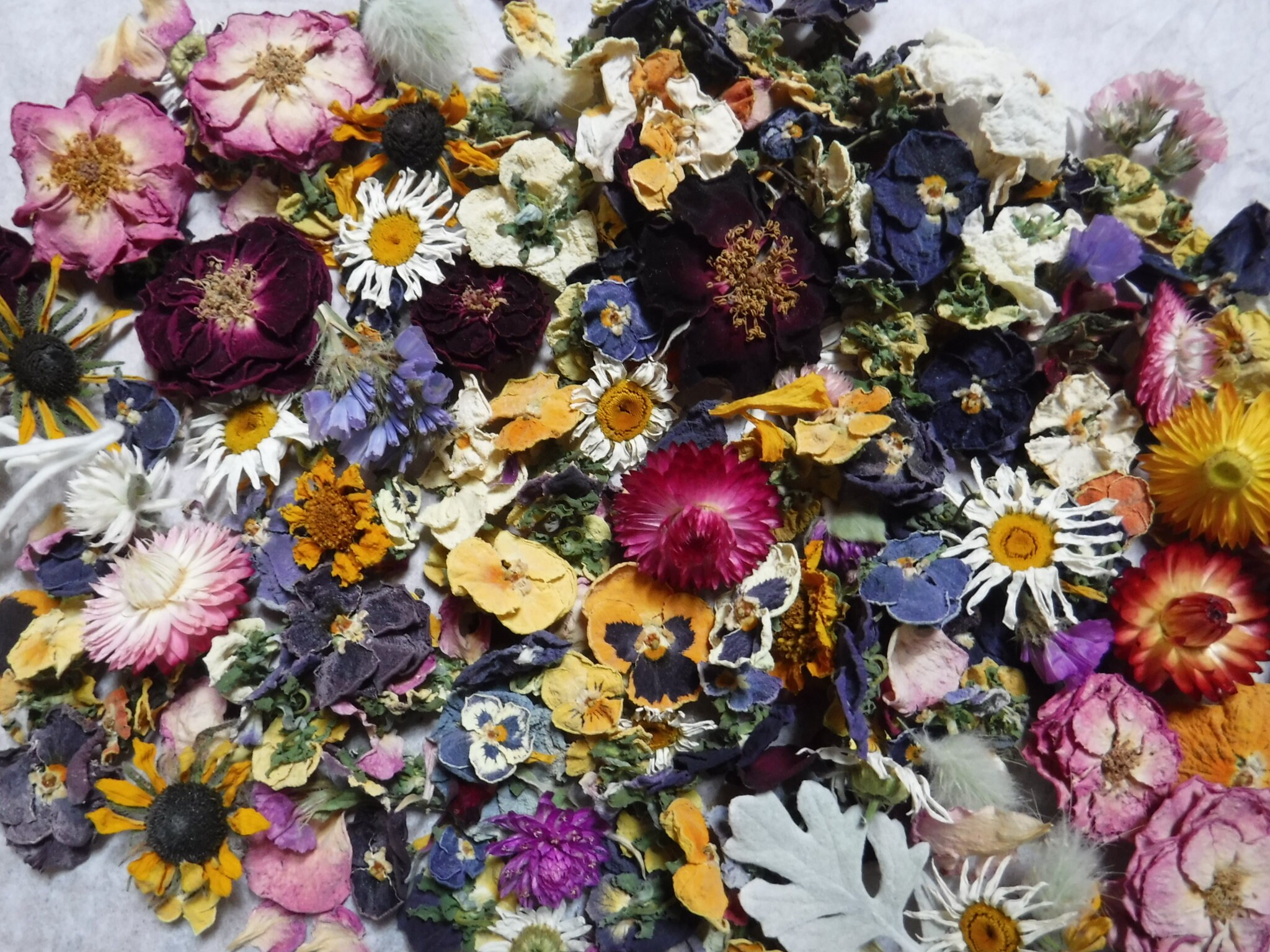 Dried Flowers, Dried Plant Material, Bowl Filler, Table Decor, Table ...
