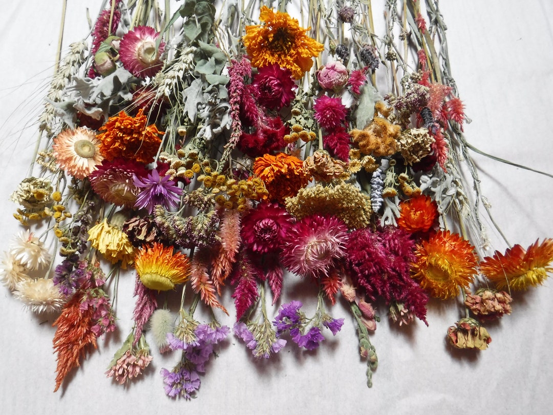 Dried Flower Box, Dried Flower Stems, DIY Wedding Decor, Vase Filler ...