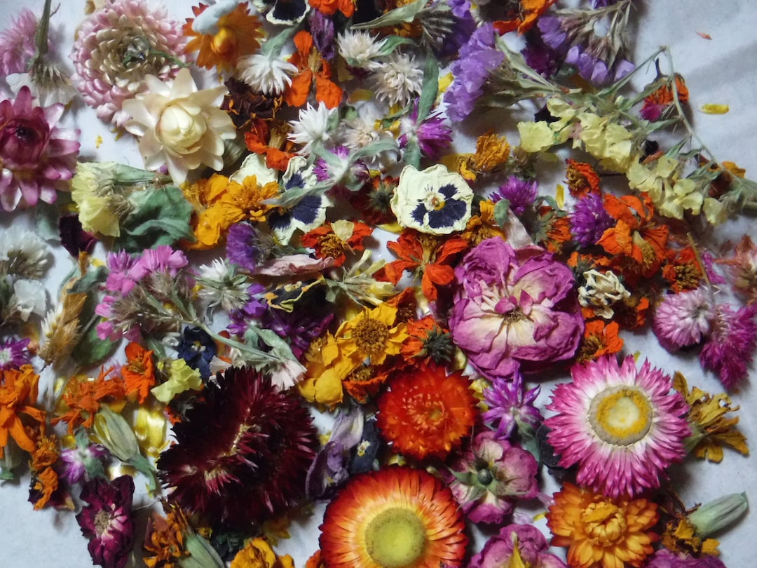 2 Cups Dried Flowers, Dried Plant Material, Loose Dried Flowers, Resin ...