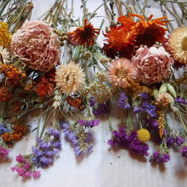 Dried Flowers With Stems - Etsy