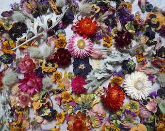 Dried Flowers, Dried Plant Material, Bowl Filler, Table Decor, Table ...