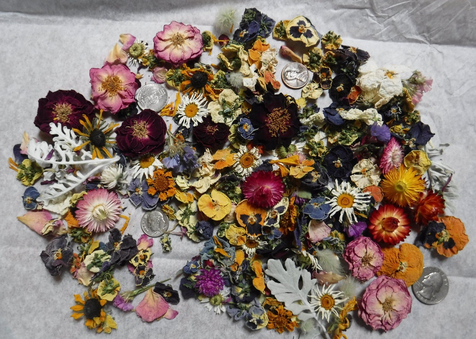 Dried Flowers, Dried Plant Material, Bowl Filler, Table Decor, Table ...