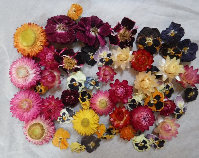 Dried Flowers, Dried Plant Material, Bowl Filler, Table Decor, Table ...