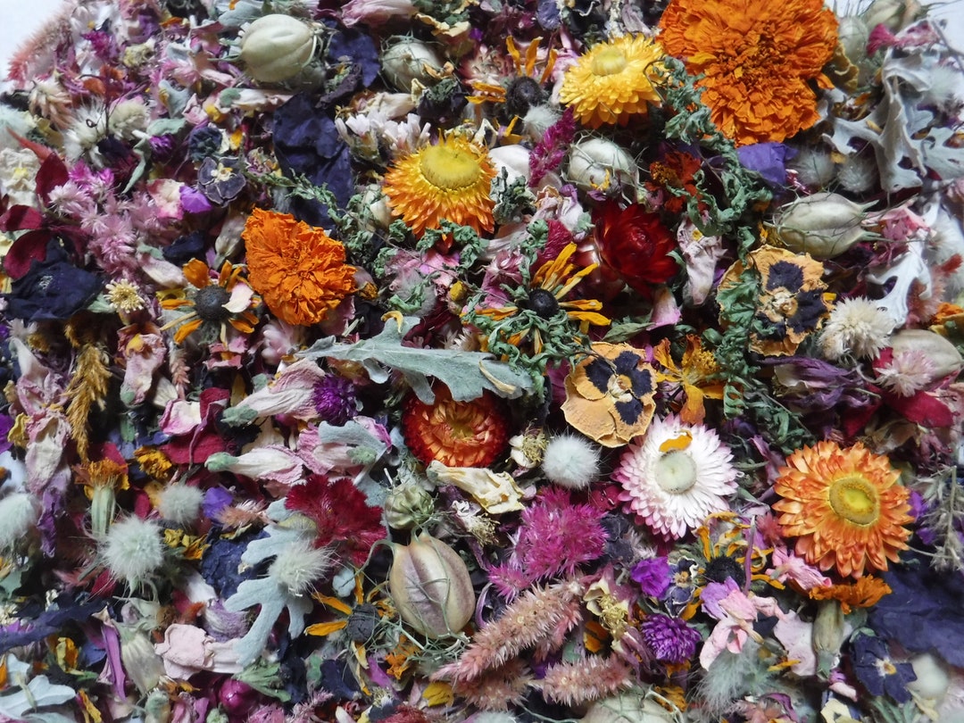 200 Cups Wedding Special Bulk Dried Flowers Mix, Colorful Dry Flowers ...