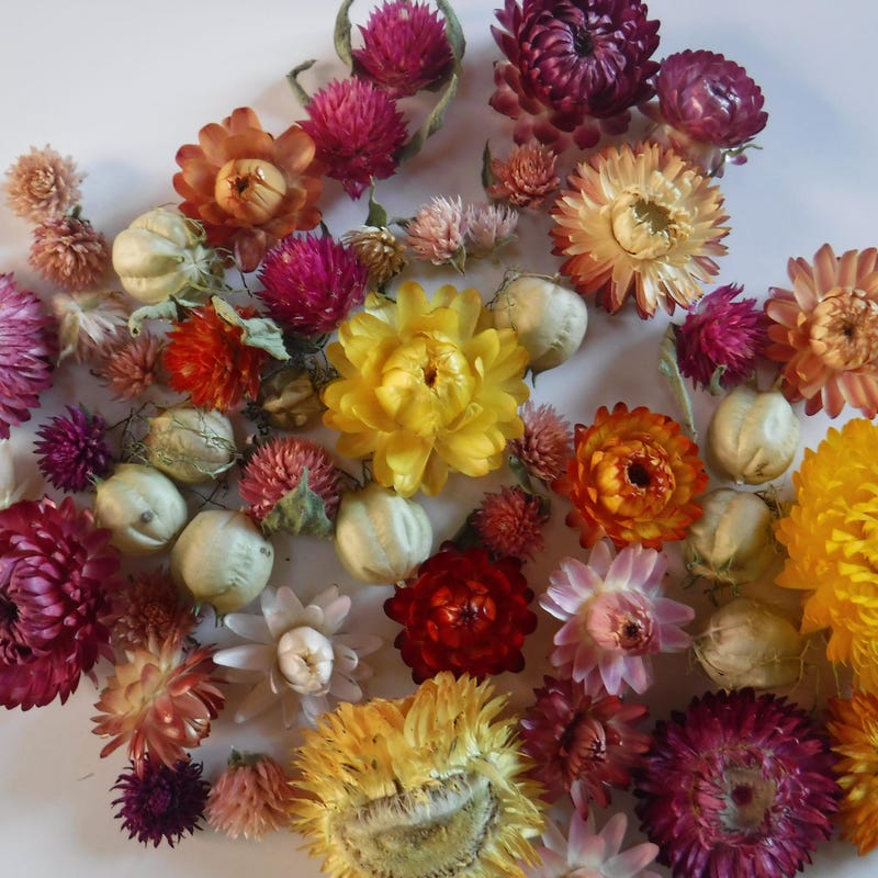 Resin Dice Garden - Etsy