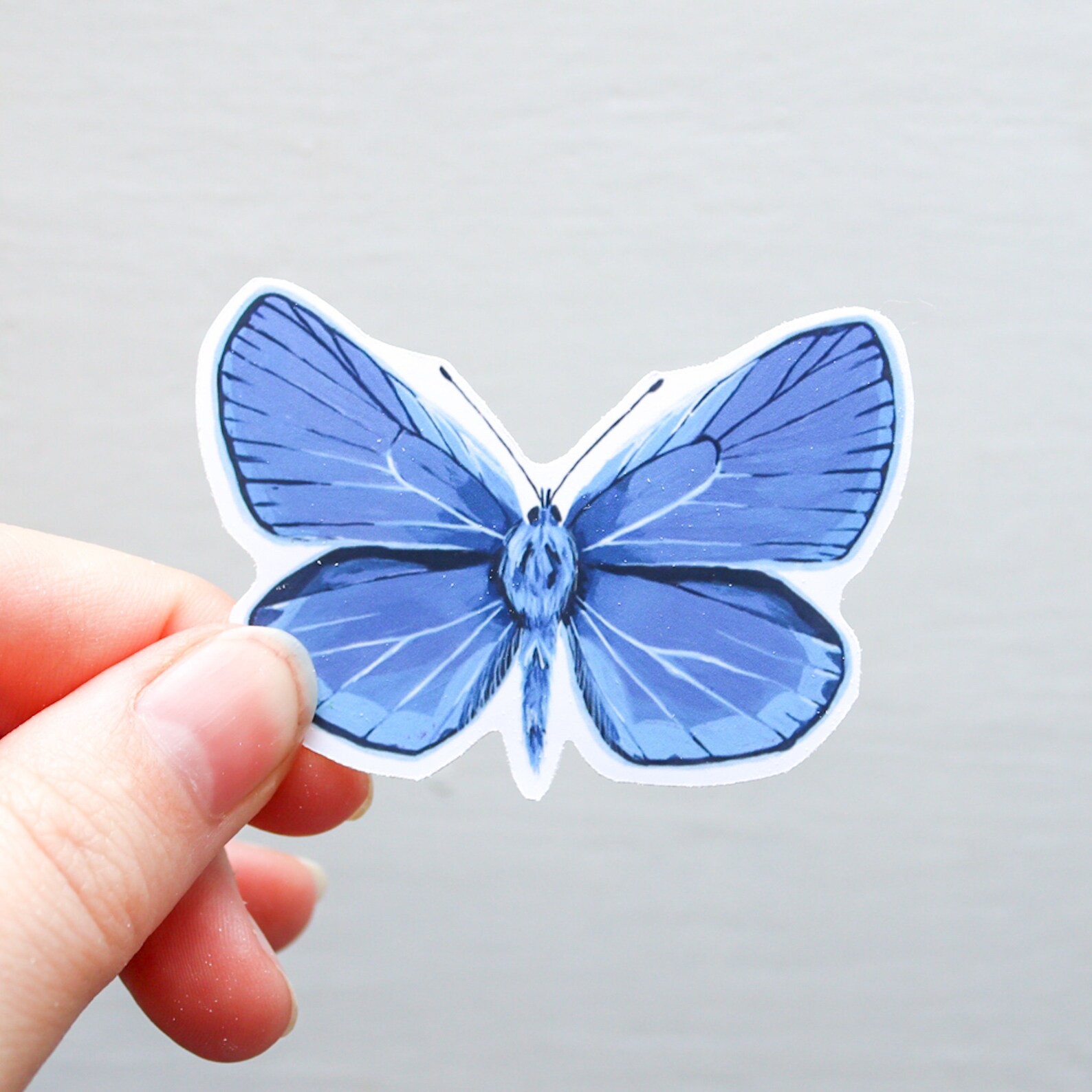 Mariposas Azules Lycaenidae Set de 8 Pegatinas de Vinilo - Etsy España