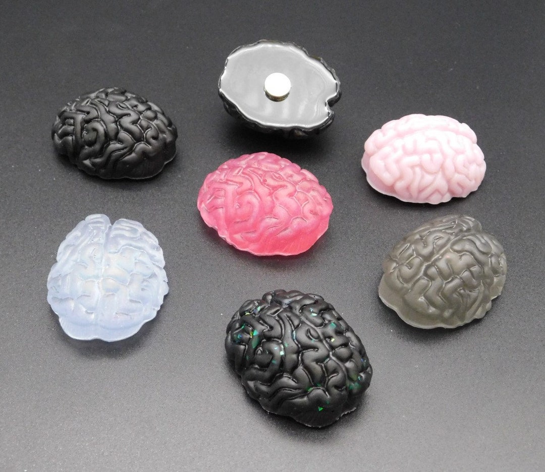 Brain Magnets Color Options Cute Decorative & Strong Anatomical Brain ...