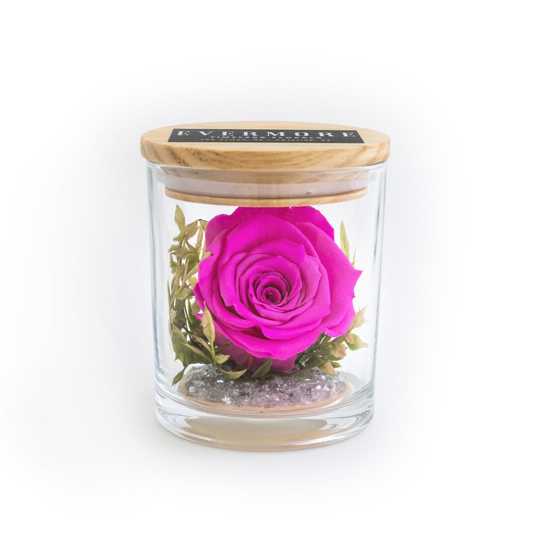 Pink Preserved Rose in Glass Jar - Evermore Timeless Floral Gift - Etsy