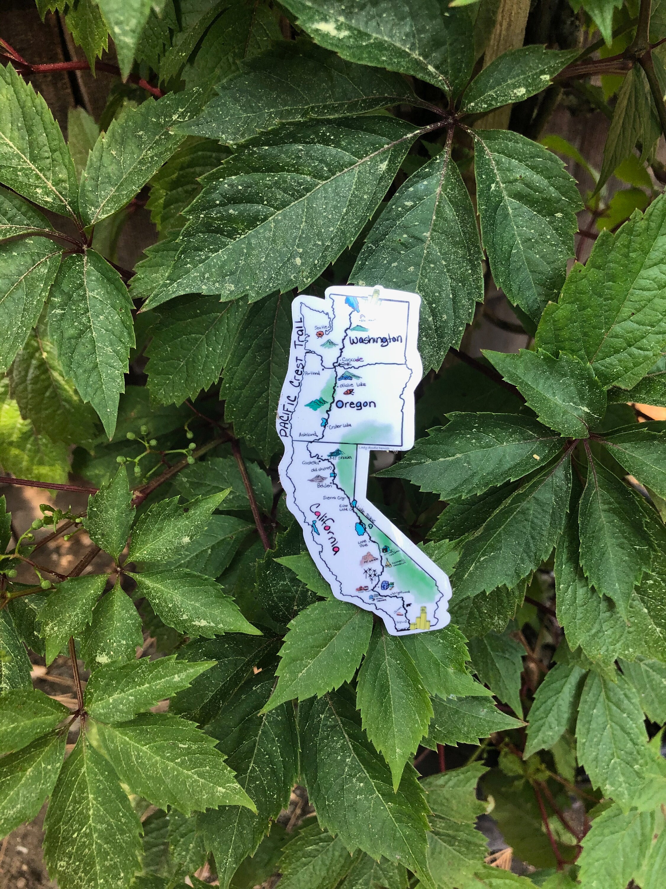 PCT MAP Sticker Pacific Crest Trail Sticker Thru Hiker - Etsy