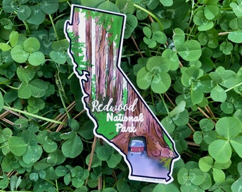 Redwood Sticker - Etsy