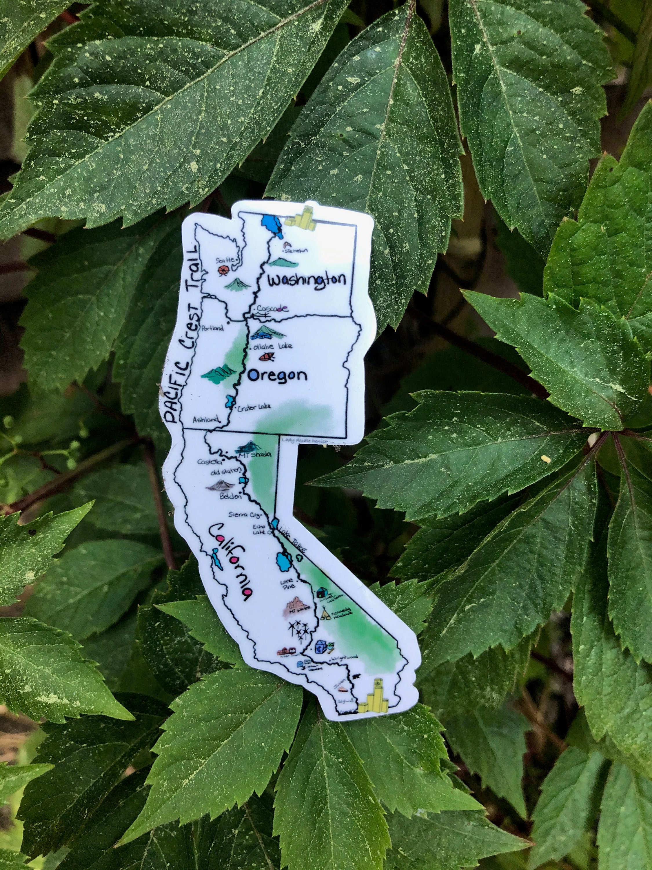PCT MAP Sticker Pacific Crest Trail Sticker Thru Hiker - Etsy