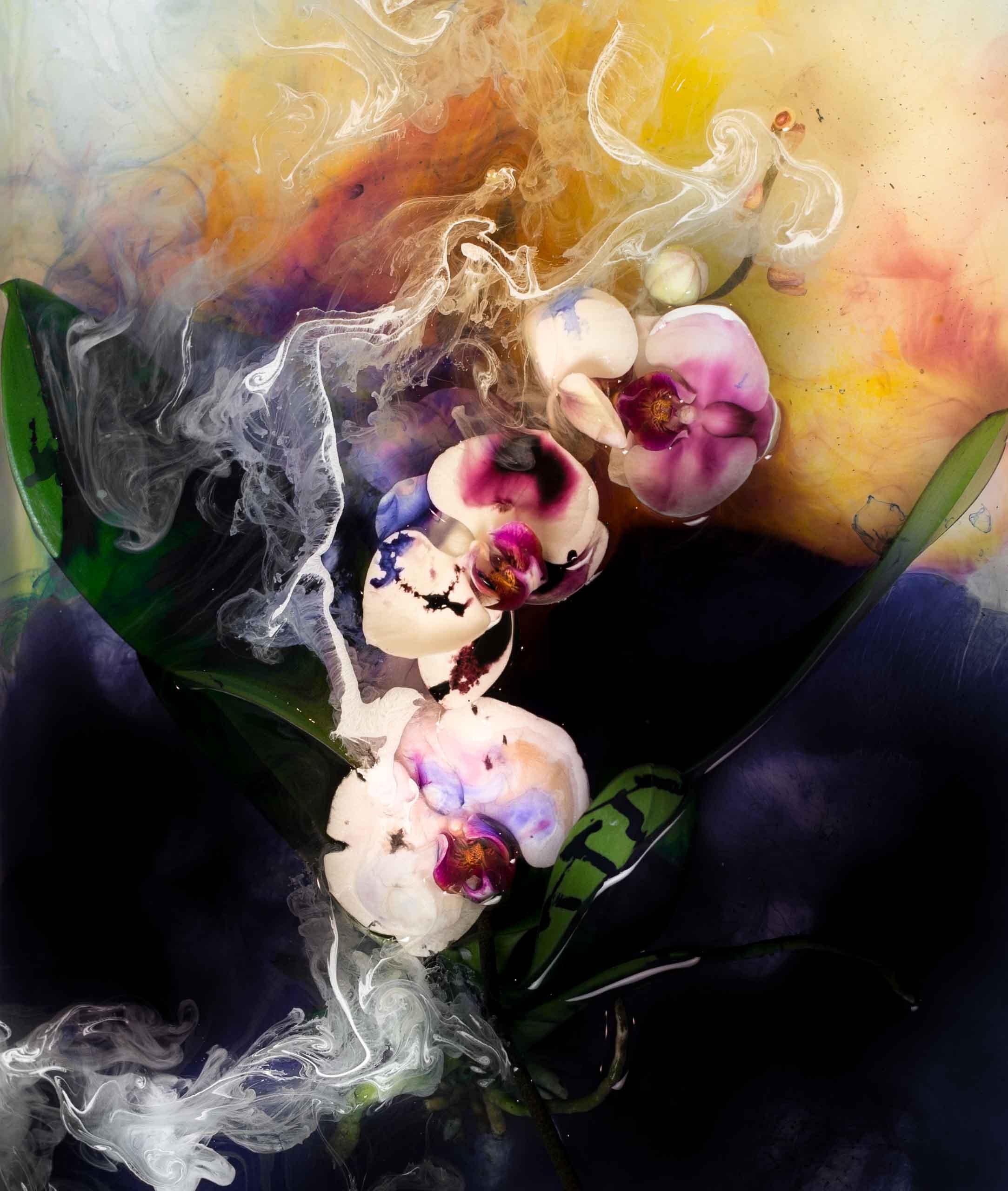 Flower Photo, Floral Picture, Abstract Flower, - Etsy