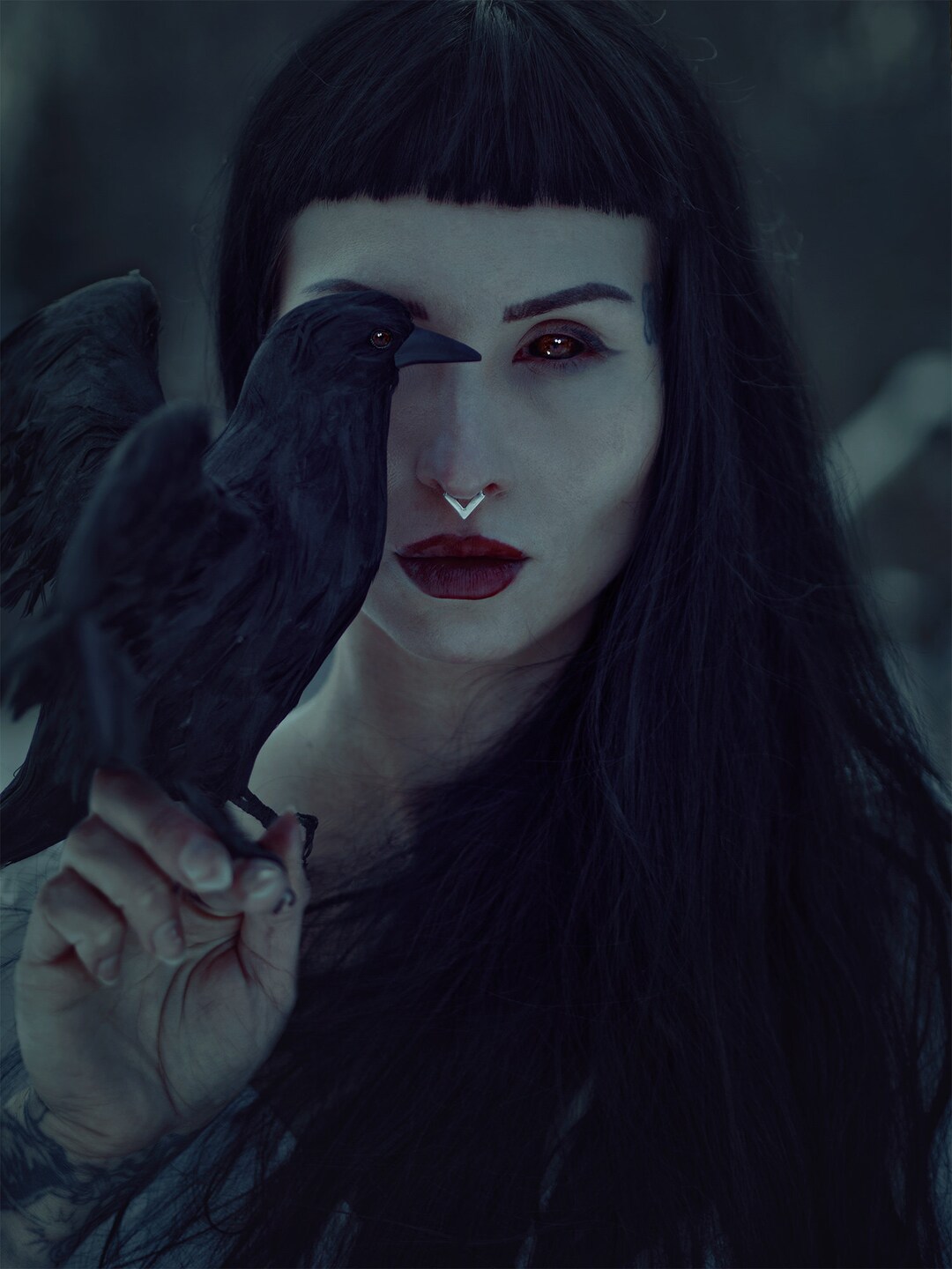 Nevermore - A2 (59x42 Cm) High Quality Poster - Etsy