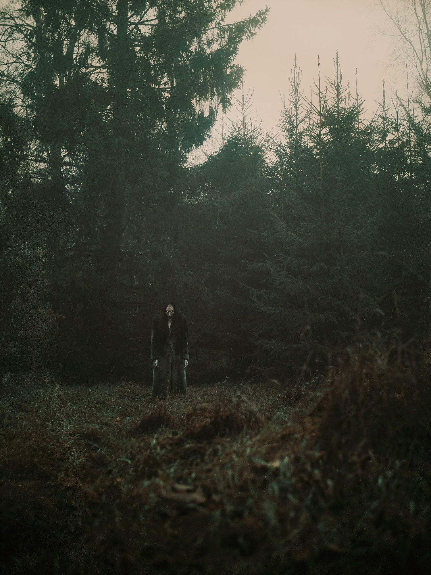 The Hag A2 59x42 Cm High Quality Poster - Etsy