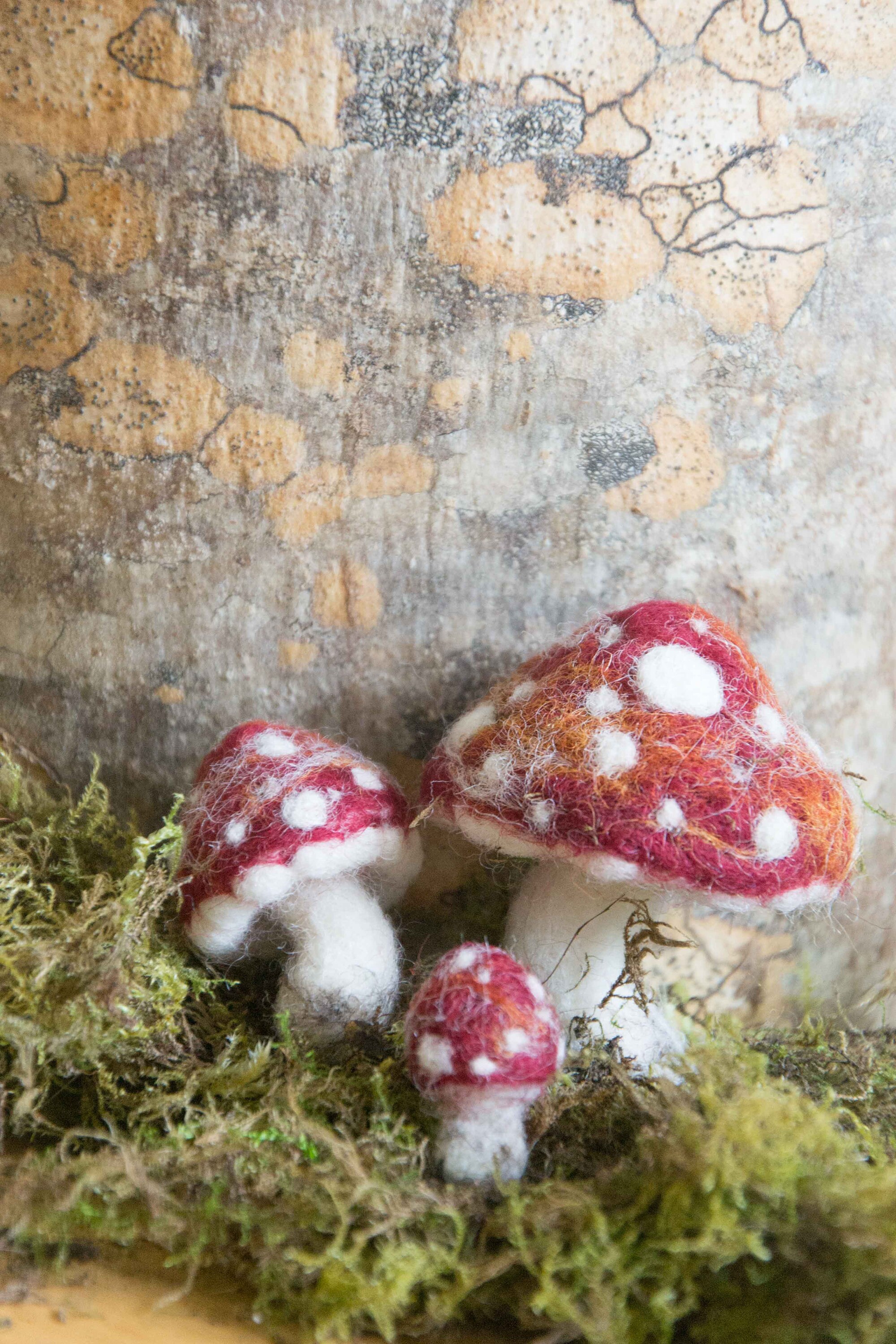 Needle Felted Toadstool Felt Mushroom Toadstool Ornament - Etsy UK