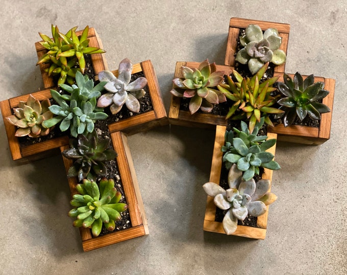 Succulent Cross Planter - Etsy