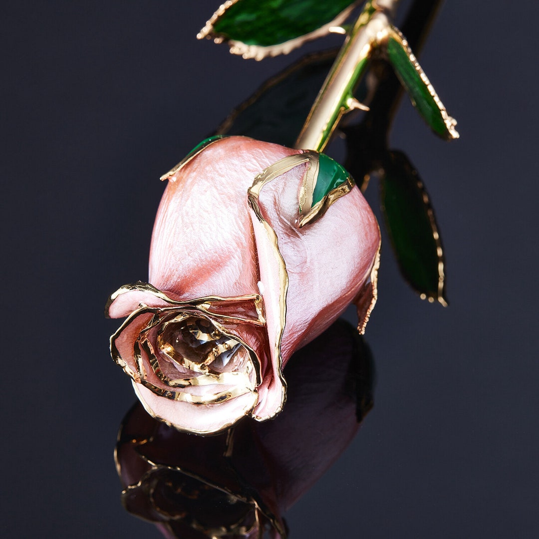 24k Gold Real Rose - Closed Bud - Eternal Rose - Pearl Collection ...