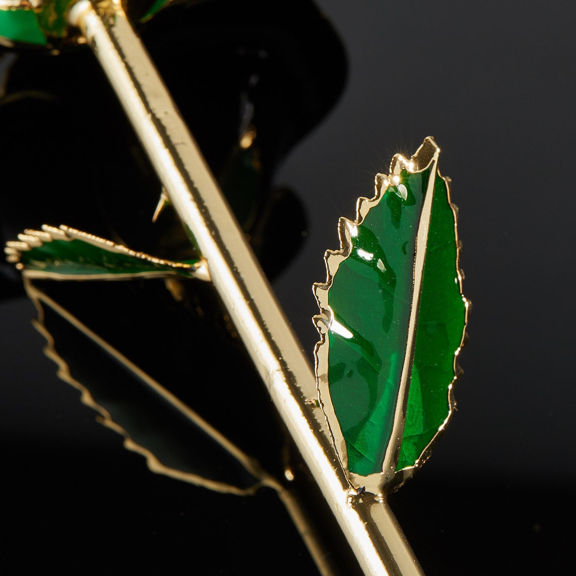 Eternal Rose Midnight Promise Real Rose Dipped in 24k Gold - Etsy