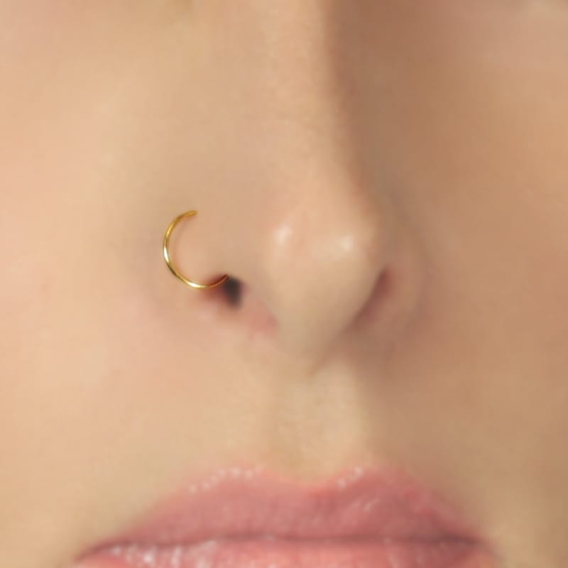 Fake Nose Ring - Etsy