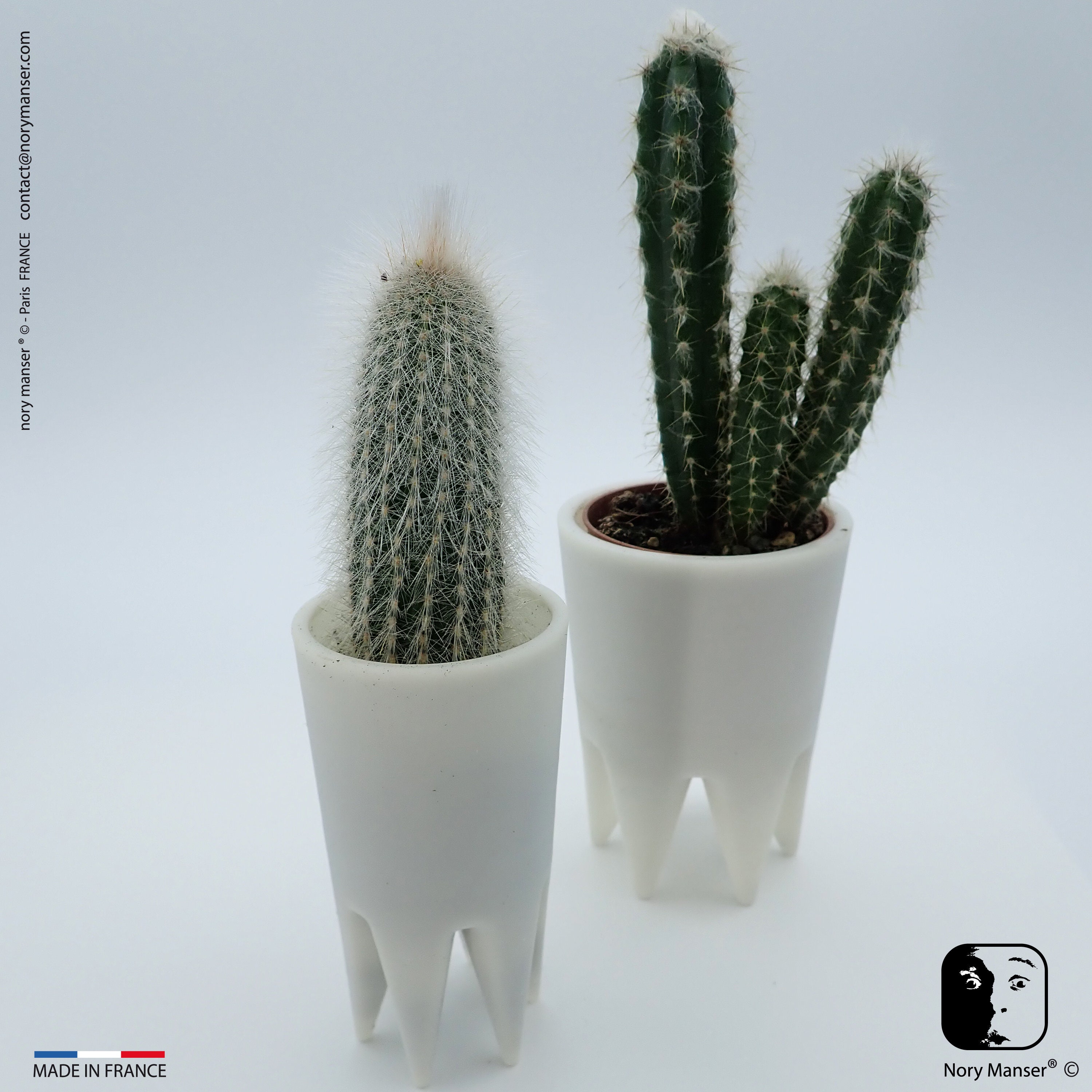 Ensemble de 2 petits pots un couple de BioBo aux | Etsy