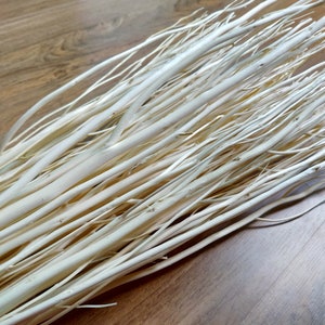 50 Stems Dried Sticks, Dried Wood, Natural Branches, Branch Decor, Vase ...