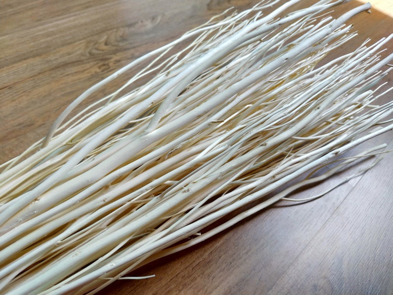50 Stems Dried Sticks, Dried Wood, Natural Branches, Branch Decor, Vase ...