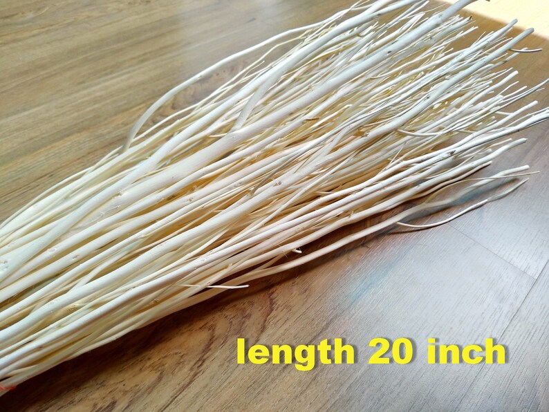 50 Stems Dried Sticks, Dried Wood, Natural Branches, Branch Decor, Vase ...