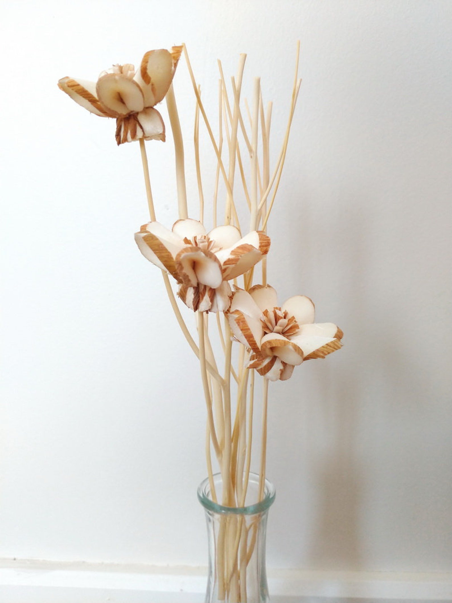 Dianthus Sola Wood Diffuser Flowers With With 10 Inch Reeds. - Etsy