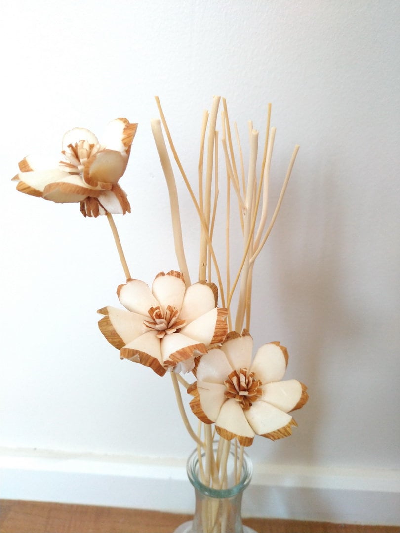 Dianthus Sola Wood Diffuser Flowers With With 10 Inch Reeds. - Etsy