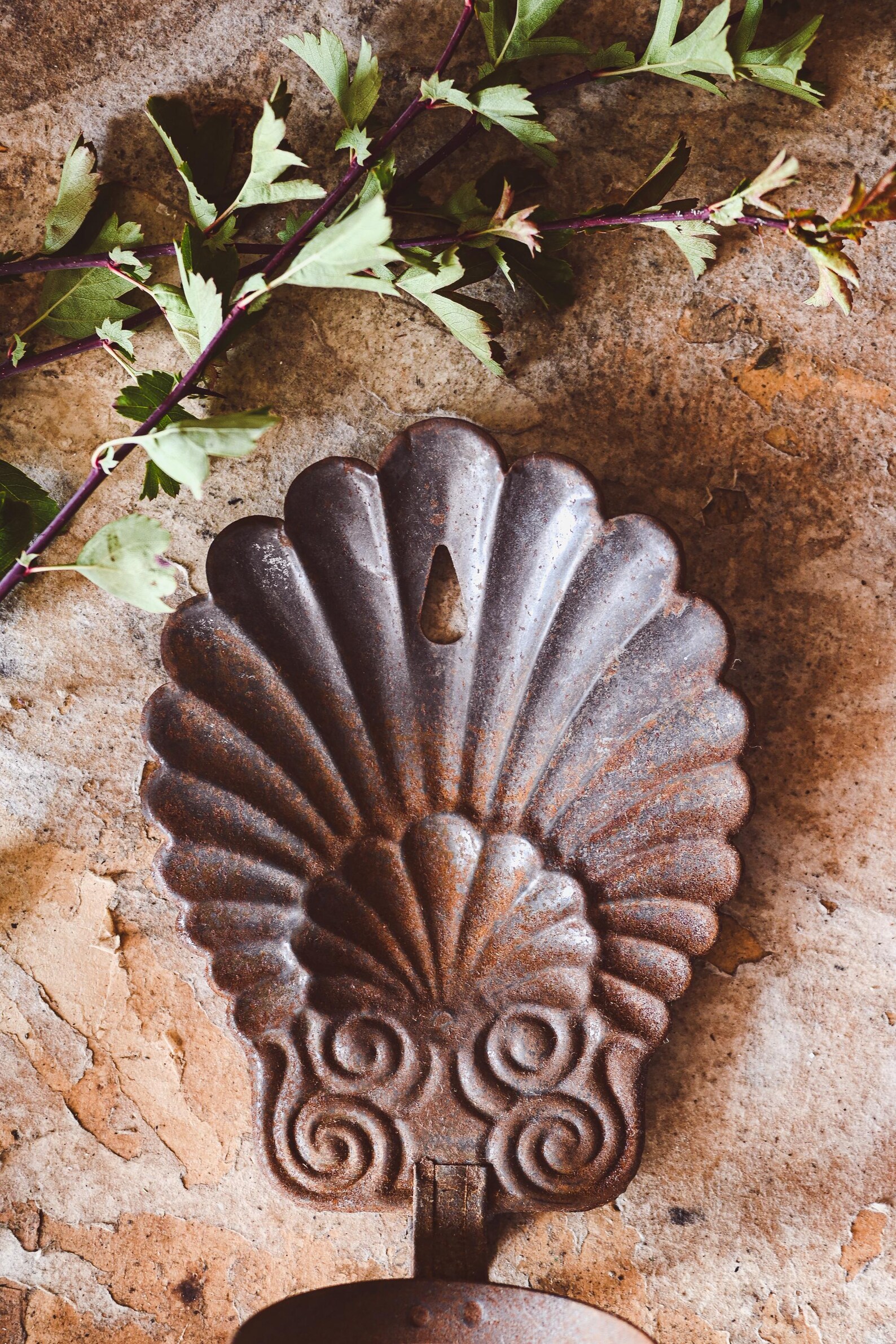 Vintage Shell-shaped Wall Sconce for Oil Lamps - Nautical Home Decor ...