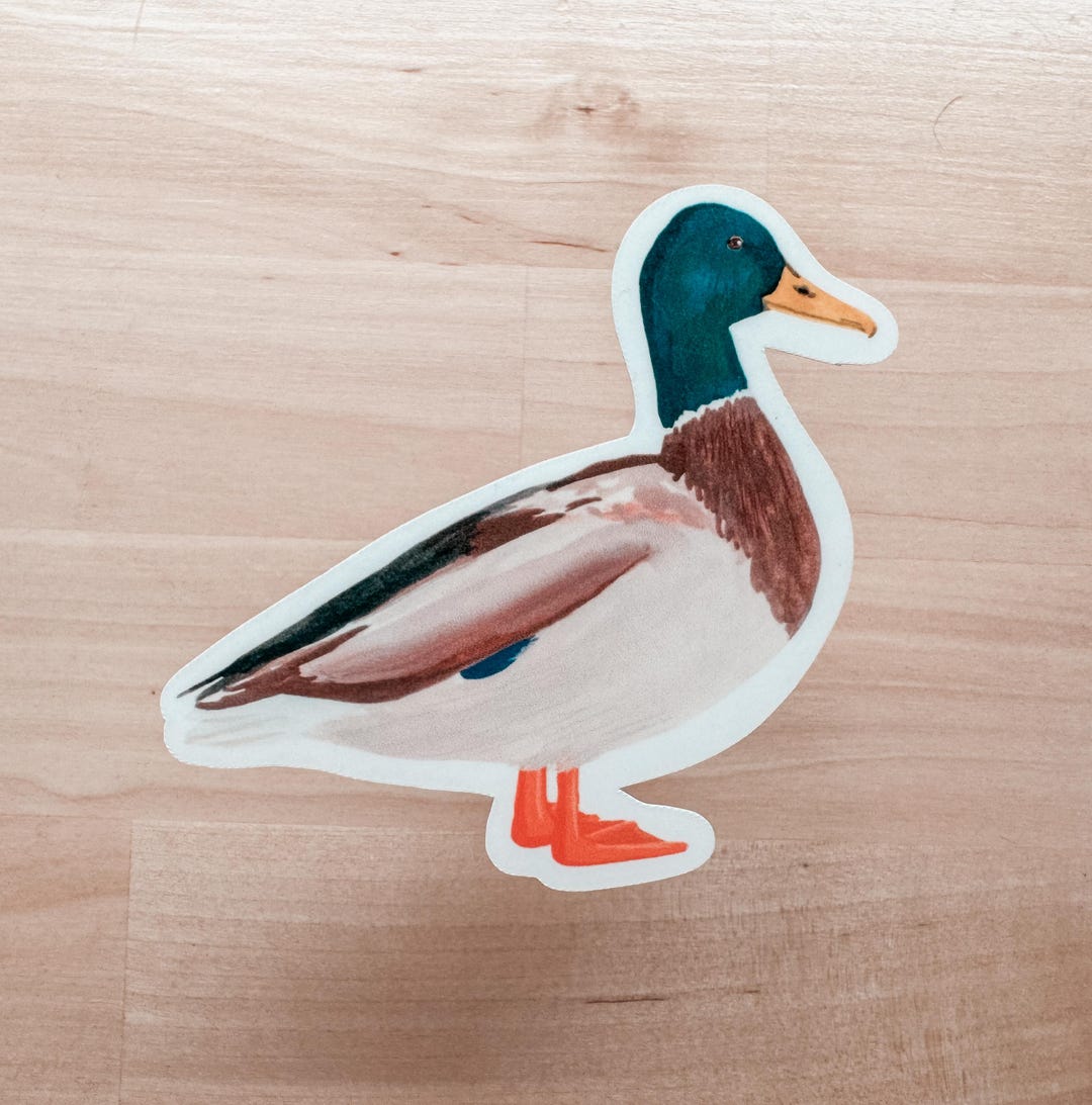 Mallard Duck Sticker | Cute Duck Sticker | Watercolor Mallard Sticker ...