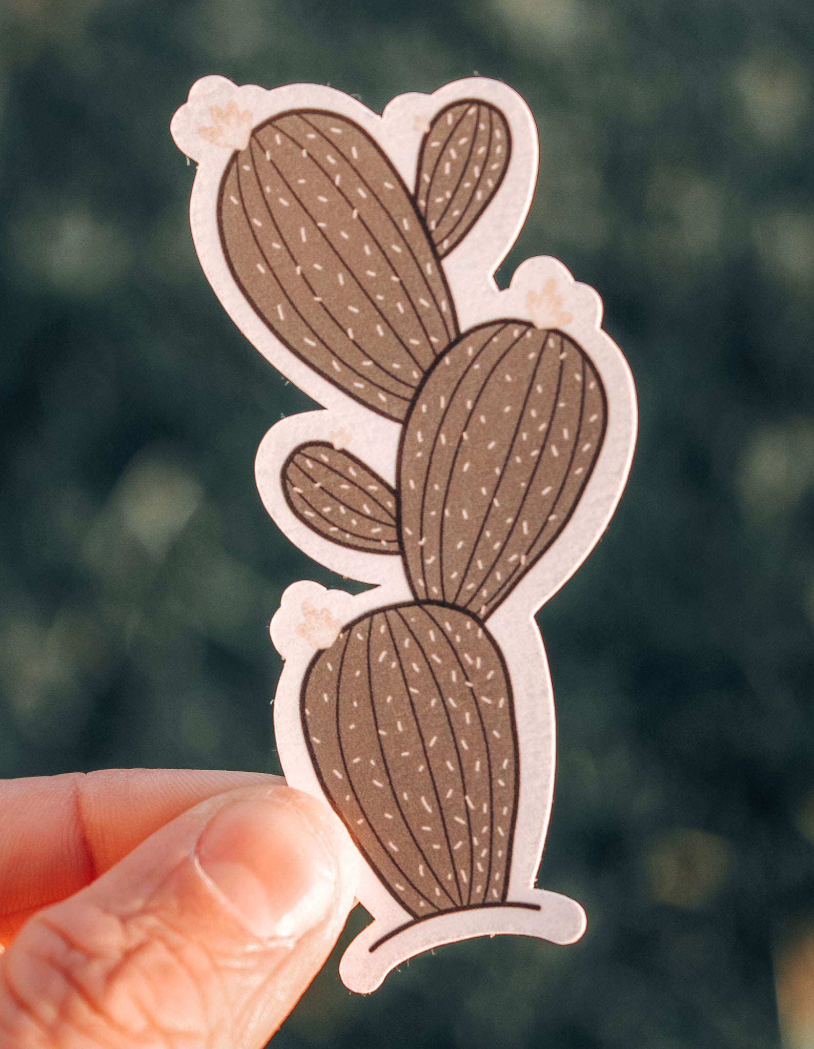 Western Sticker Pack 2 - Etsy