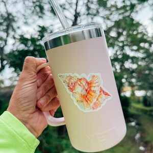 Sea Shell Sticker | Watercolor Shell Sticker | Aesthetic Beach Sticker ...